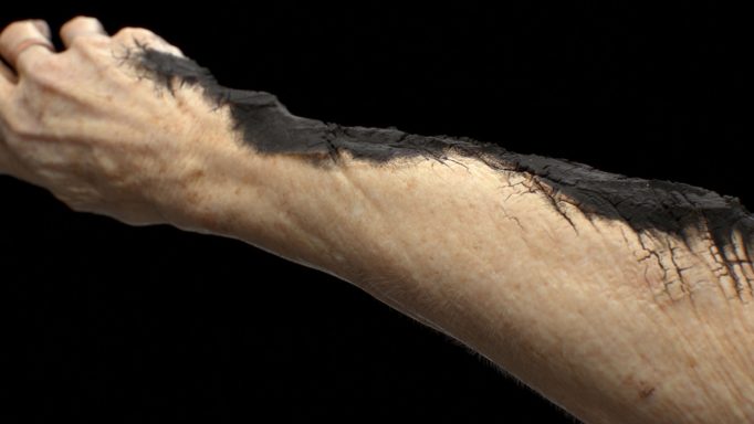 Duologue - Analog Studio